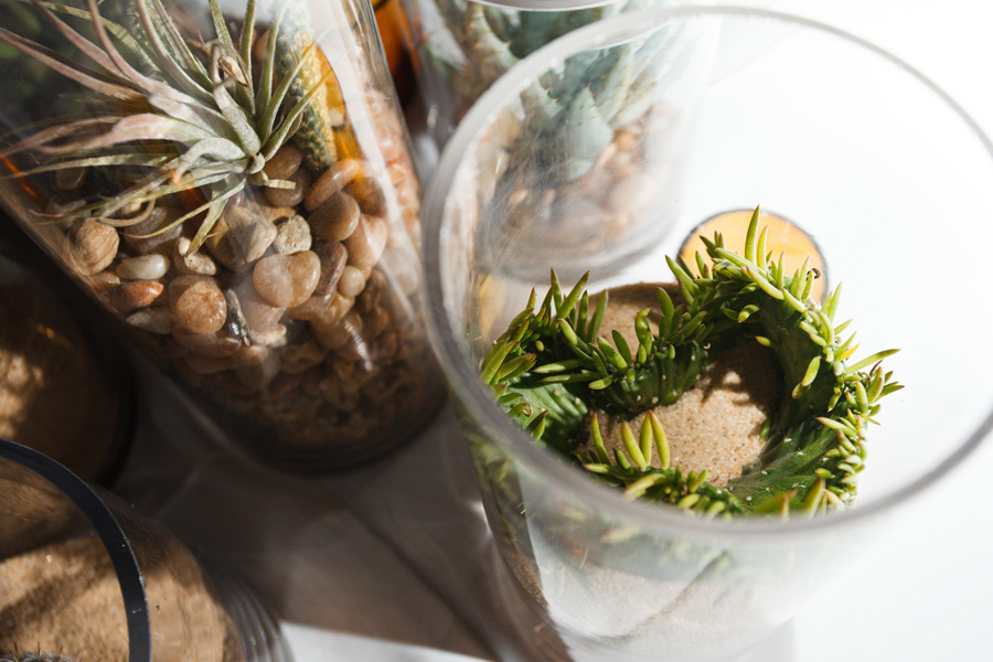 hilary + david : Three Apples Events