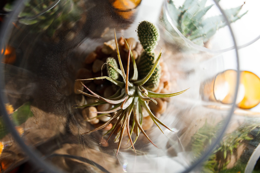 hilary + david : Three Apples Events