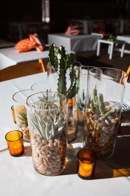 hilary + david : Three Apples Events