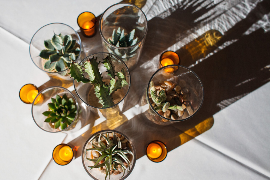 hilary + david : Three Apples Events