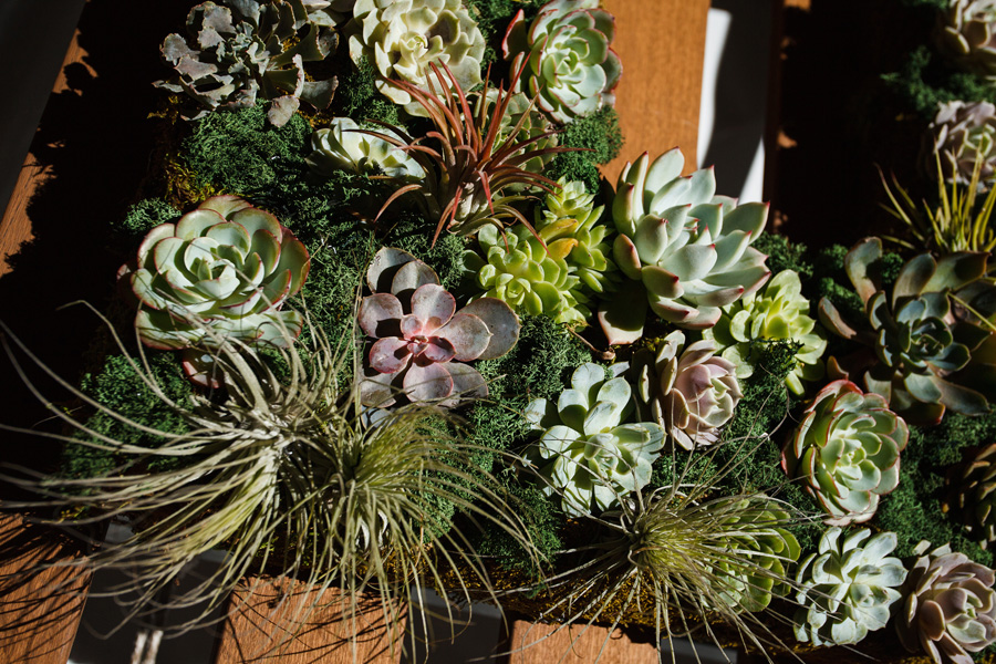 hilary + david : Three Apples Events